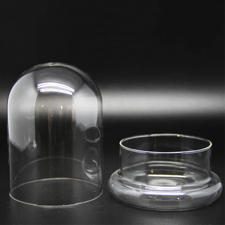 Glass Rose Glass Plant Base Transparent Mini Dome With High Quality ...