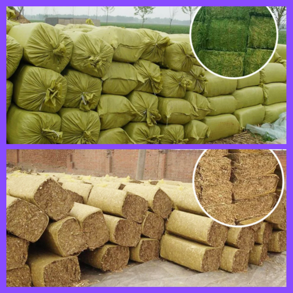 Hydraulic Square Balers Machine PLC Core Components High Productivity ...