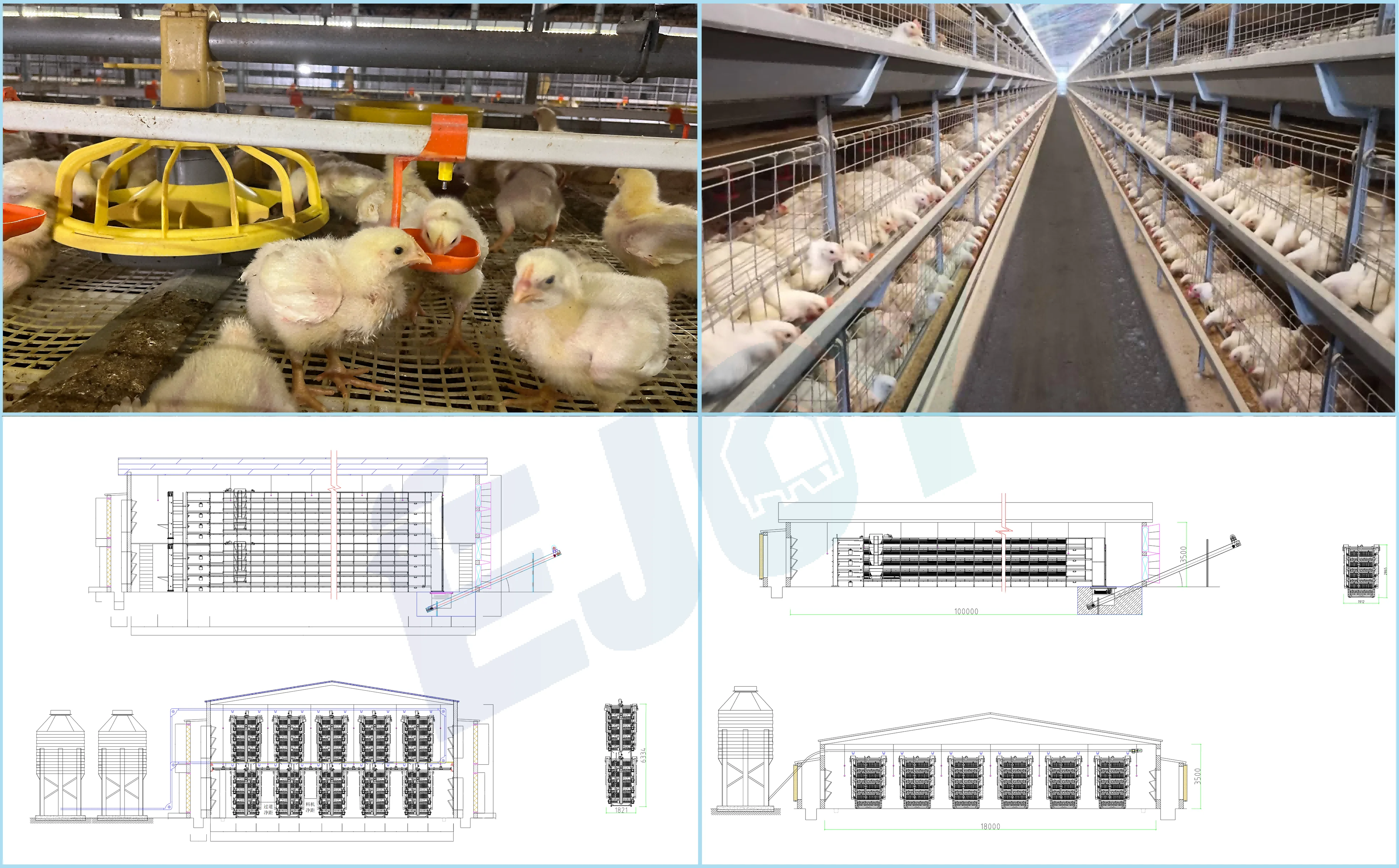 H Frame Battery Broiler Chicken Cage - 50000+ Capacity