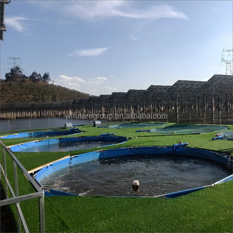 Rectangular Galvanized Pipe Fish Farming Tank System High Yield Large ...