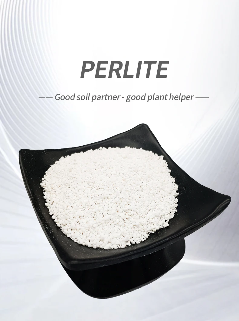 White Agriculture Hydroponics Perlite Horticultural Expanded Perlite ...