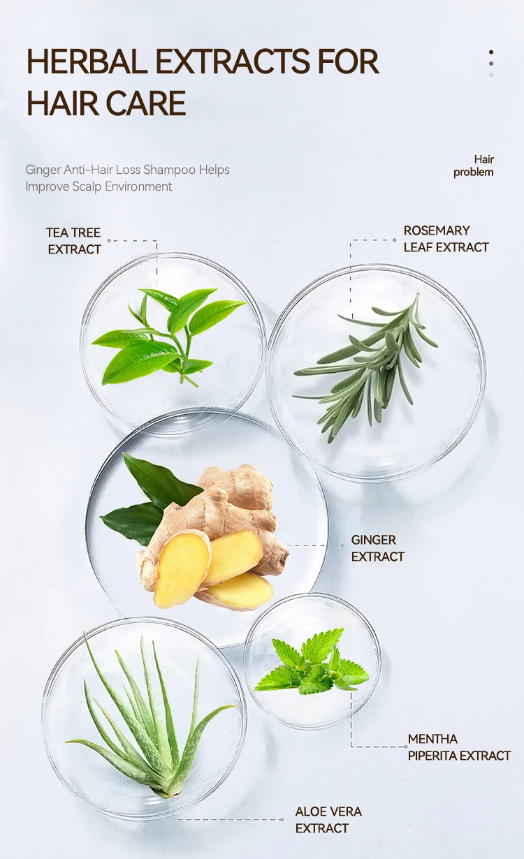 Healthy Natural Organic Hair Care - Control Oil & Regrowth