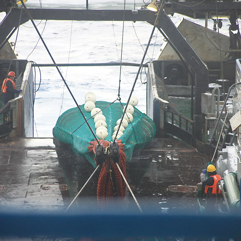Alibaba.com: Big Scale Shrimp Trawl Net Rede De Pesca : Commercial ...