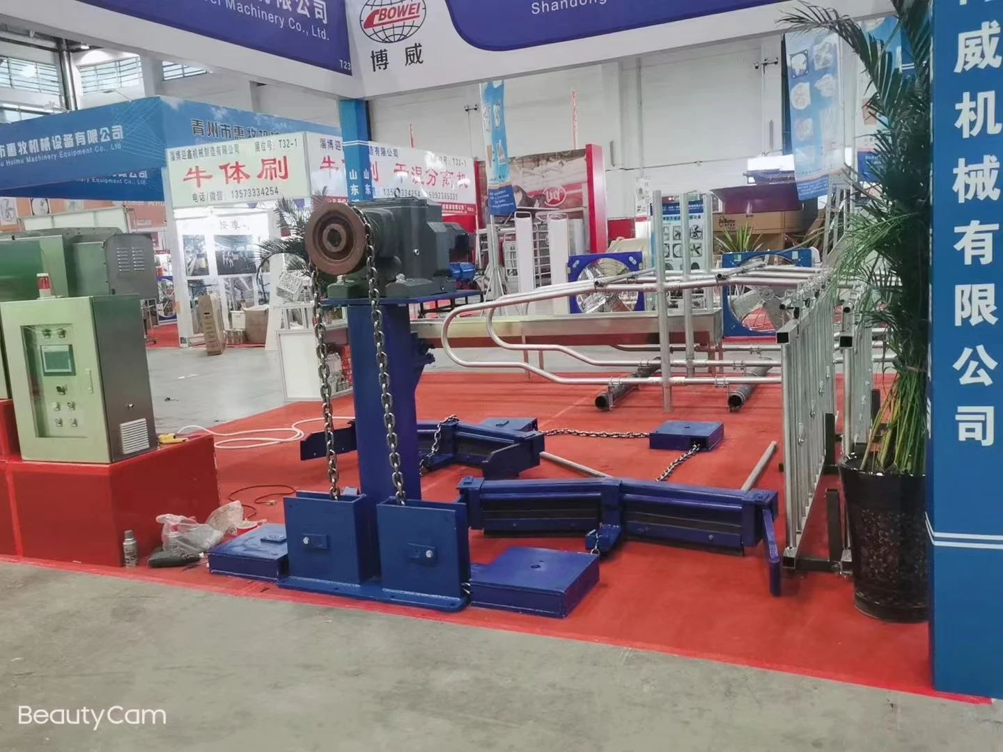 Fully Automatic Manure Cleaning System Dung Scraper Machine For Farm ...