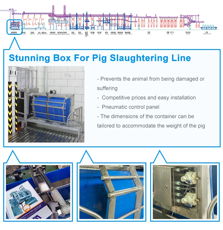 Pork Abattoir Stunning Box Slaughterhouse Equipment For Slaughter Pig ...
