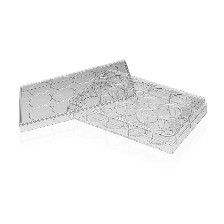 Cotaus Laboratory Disposable Plastic Lab V U Bottom 96 Well Cell ...