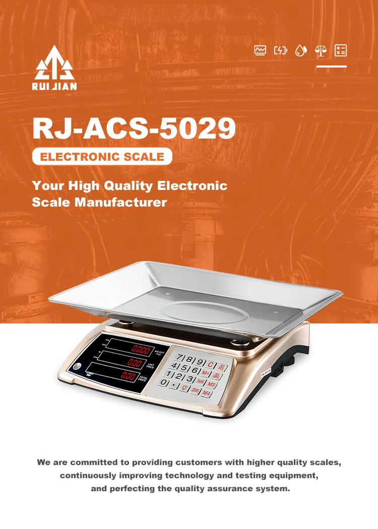 Precision Gram Electric Weight Lab Top Load Balance Digital Weighing ...