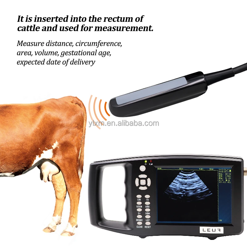 Portable Veterinary Ultrasound Scanner For Sheep Cow Pig Ultrasound ...