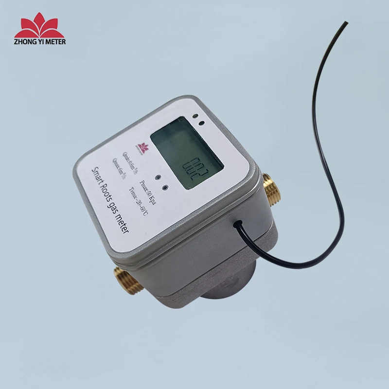 Rs485 Lpg /lng Gas Meter / Smart Gas Meter - Buy Roots Gas Meter,Lpg ...