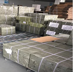 Aeb Type Mp48 Sequential Conversion Kits For Injection System Cng Ecu 2 ...