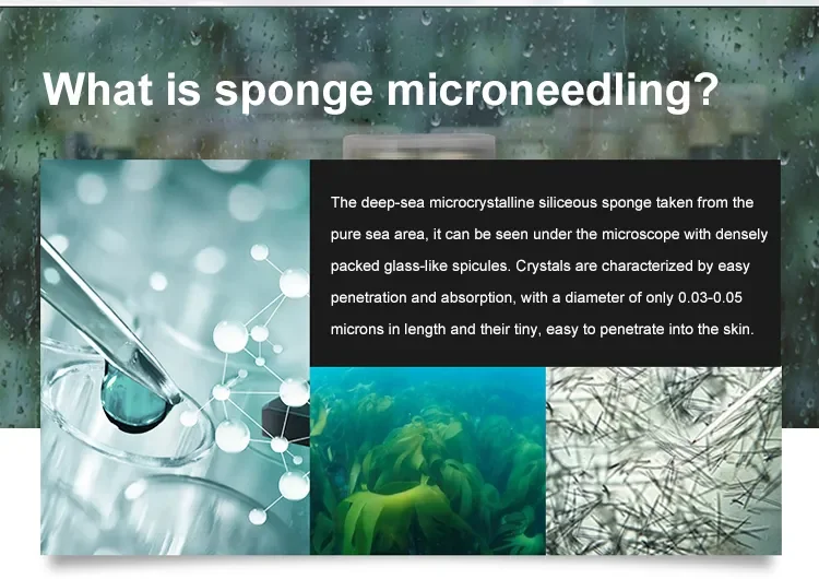 D New 5ml Microneedling Really Popular Algae Peeling Sponge Spongilla ...
