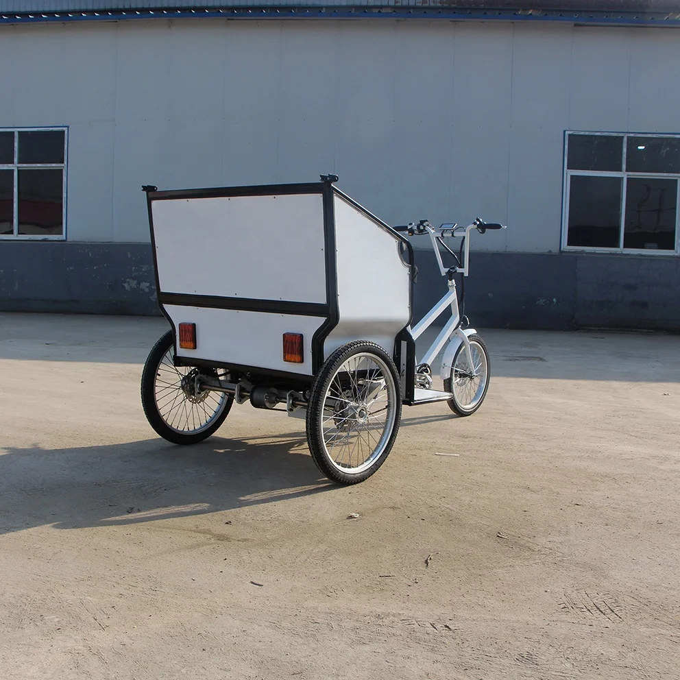 3 Wheels Taxi Electric Rear Loading Rickshaw With Pedal Assistant Auto ...