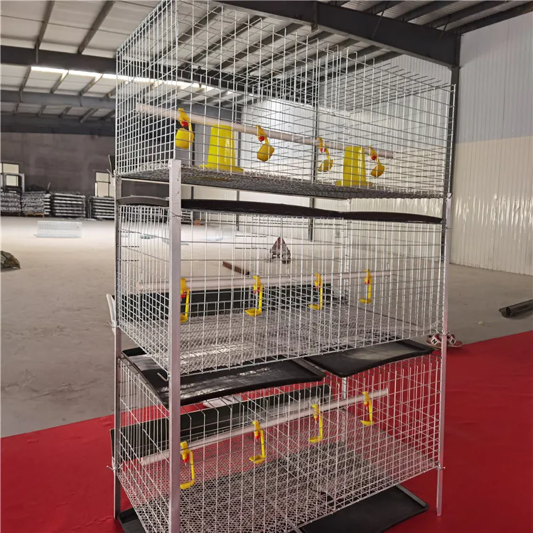 Pakistan Broiler Chicken Cage Poultry Farm Chicken Pens and Galvanized ...