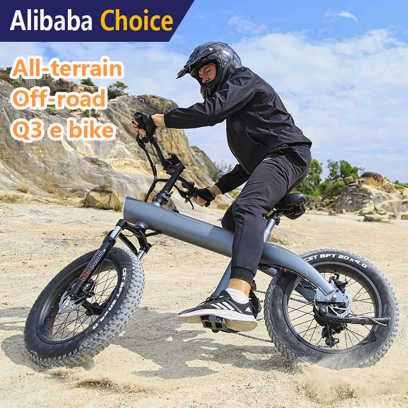 Q3 Electric Bike - 20 Inch Fat Tire off Road Ebike 750W