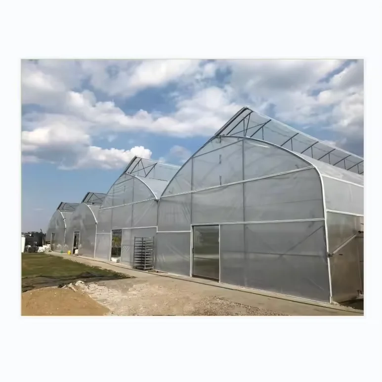 Low Cost Arch Pipe Polytunnel Green House Single Span Plastic Film ...