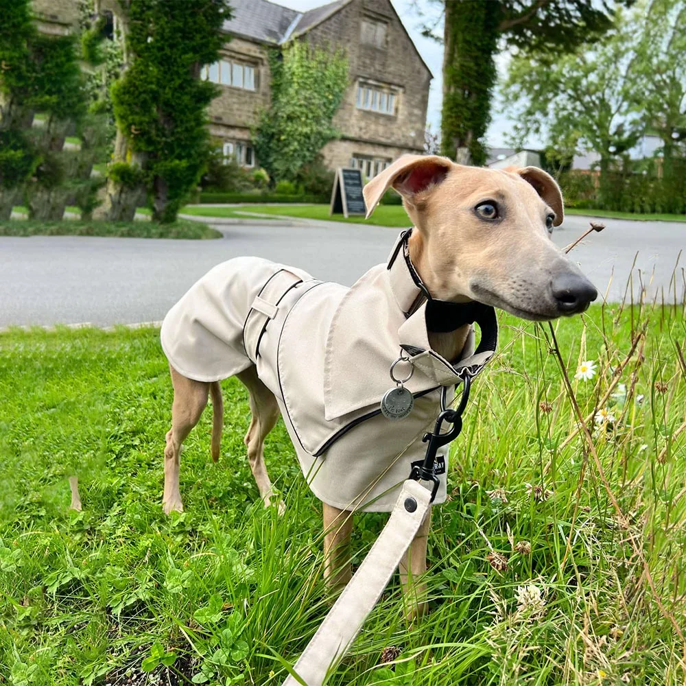 Qiqu Pet Supplies Custom New Designer Dog Trench Waterproof Adjustable ...