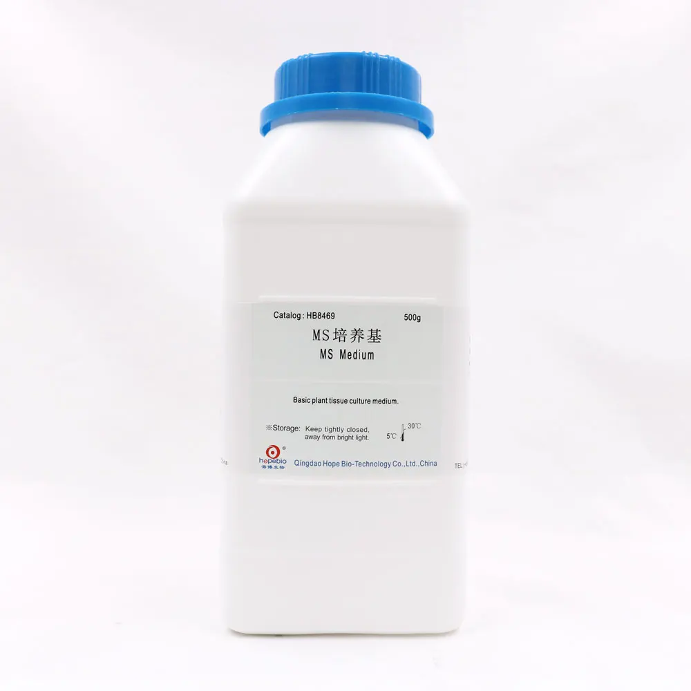 Lab Plant Tissue Culture Medium with Agar and Sugar MS