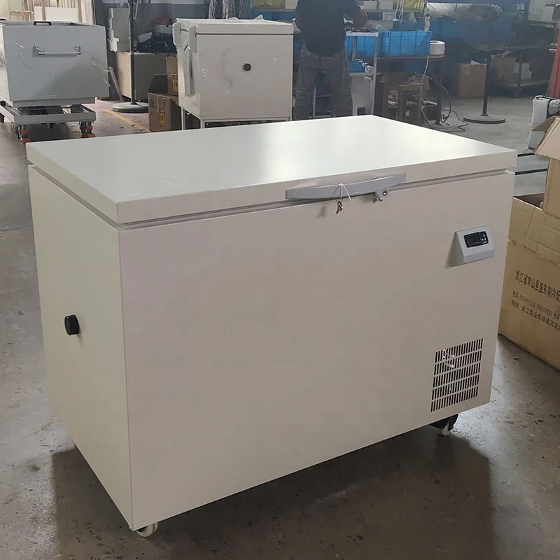 Freezer 220l store