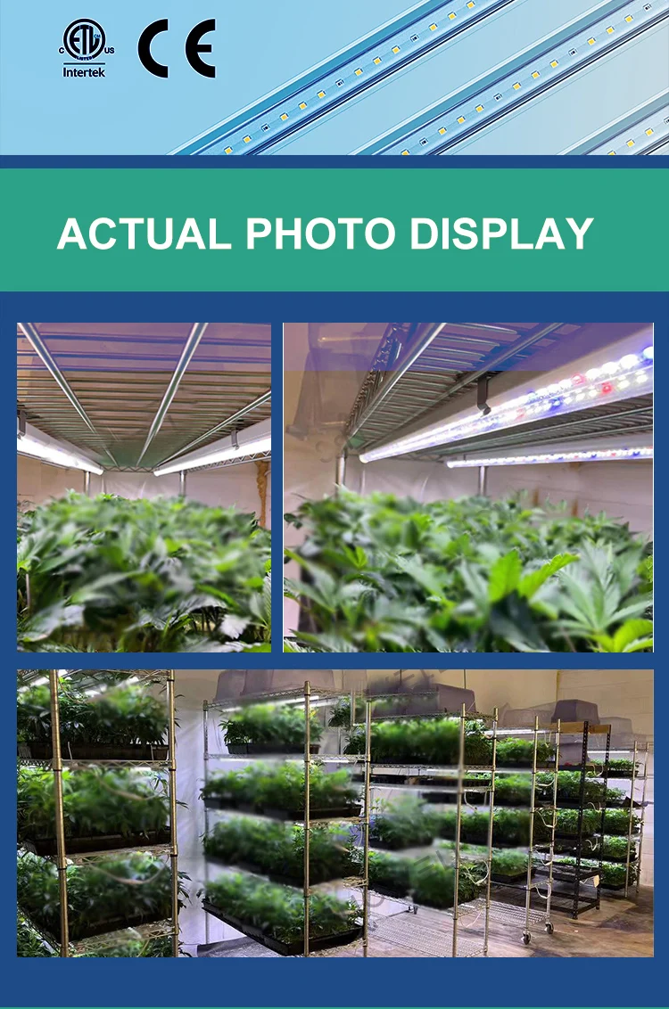 Specialty 18 Watt Replacement T8 T5 Led High Quality Grow Light 18w ...