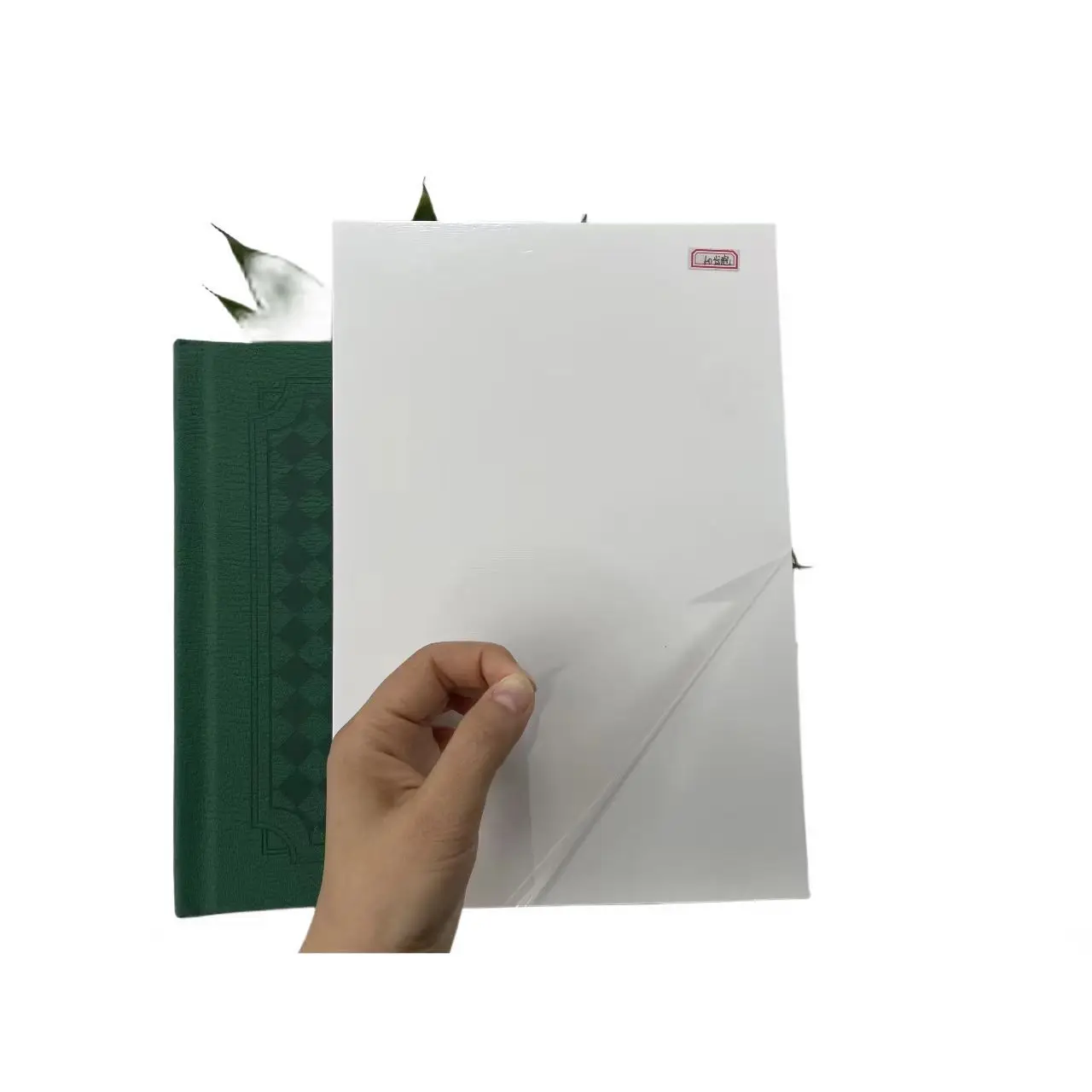 Photo Album PVC Inner Pages/Photobook Self Adhesive PVC Cardboard Sheet ...