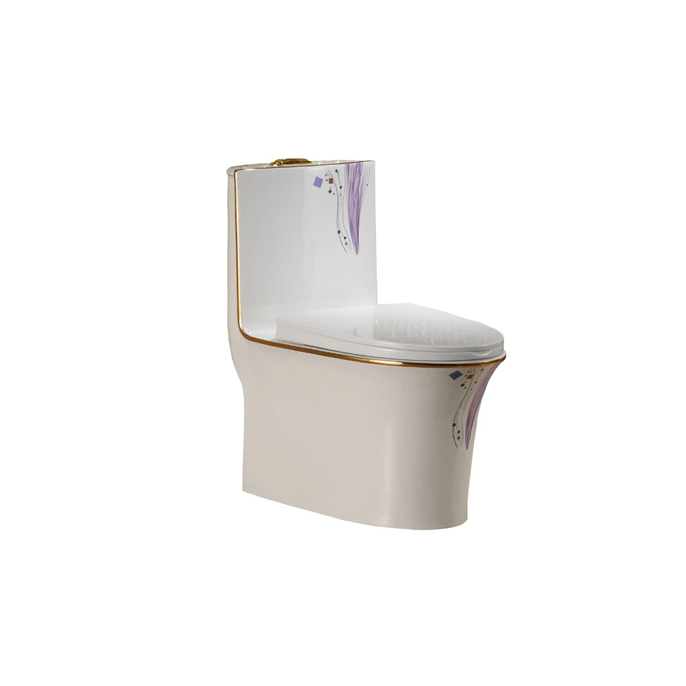 North America Standard One Piece Wc Modern Dual Flush Ceramic Modern ...