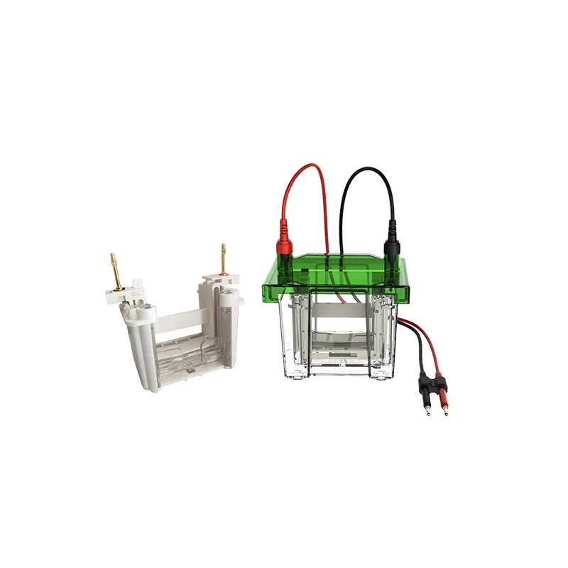 Protein And Transfer Electrophoresis Vertical Electrophoresis Tank ...