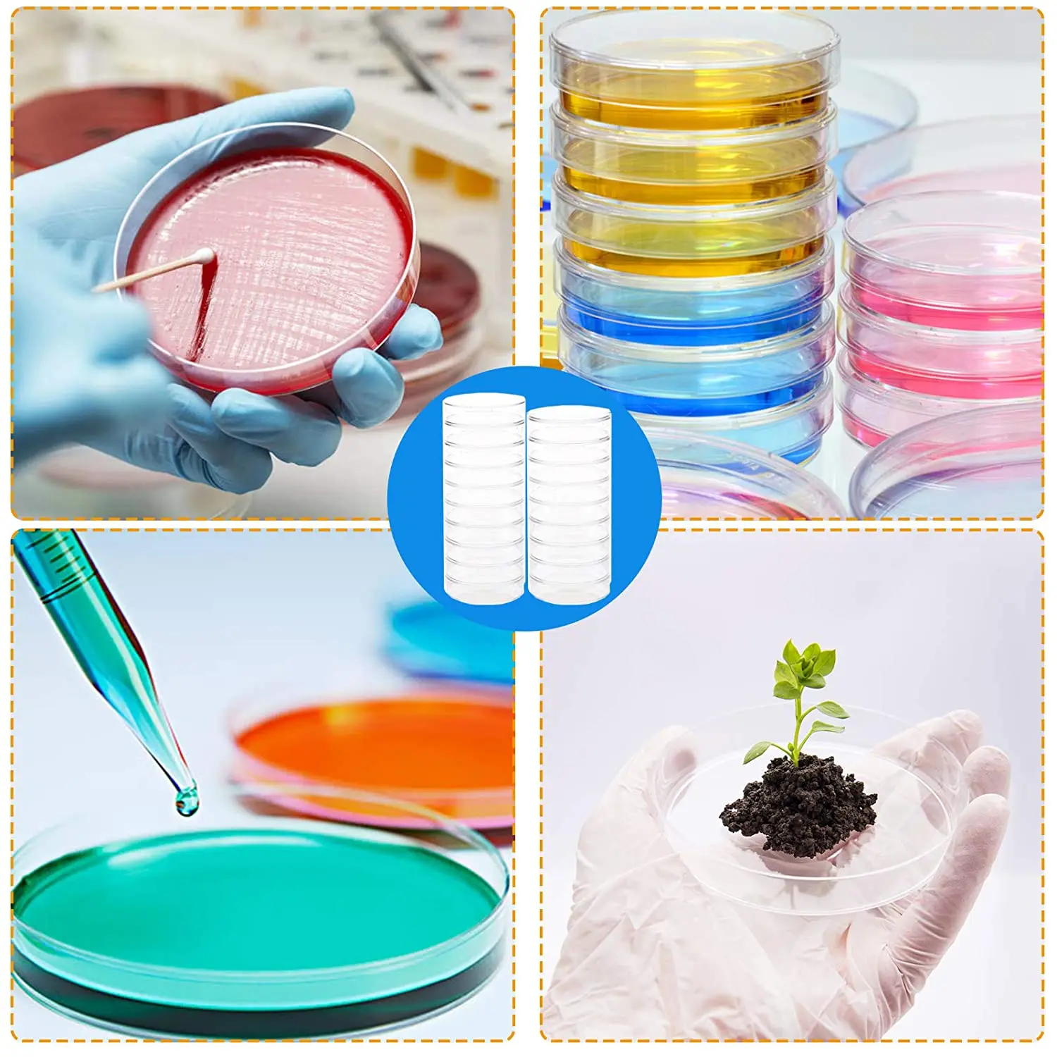 Borosilicate Glass Petri Dish - 60mm to 150mm Sizes, CE/ISO Certified ...