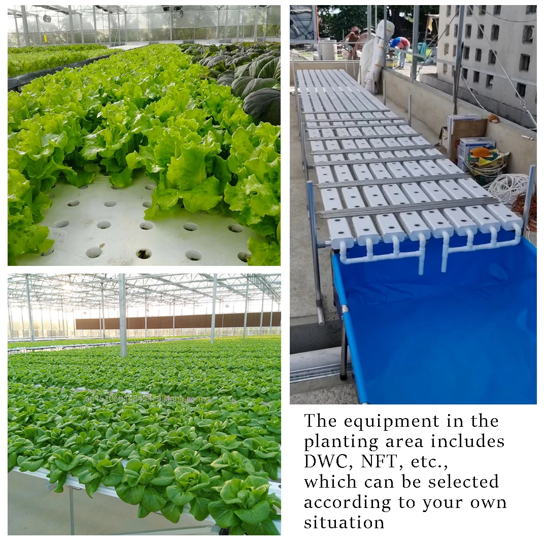 Omana Aquaponic Growing Systems Aquaponics System Farm Aquaponics ...