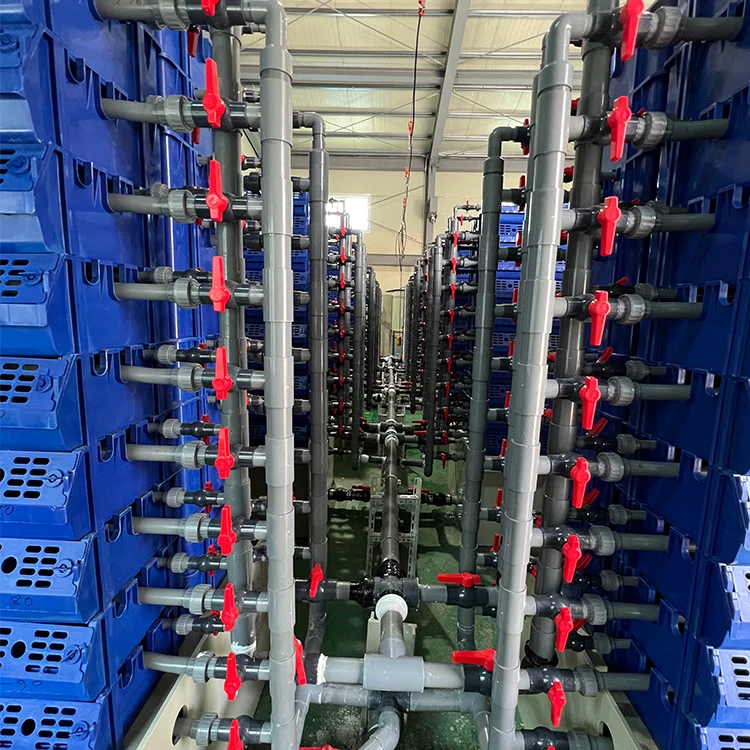 Plastic Crab Farming Boxes - Efficient Aquaculture Solutions