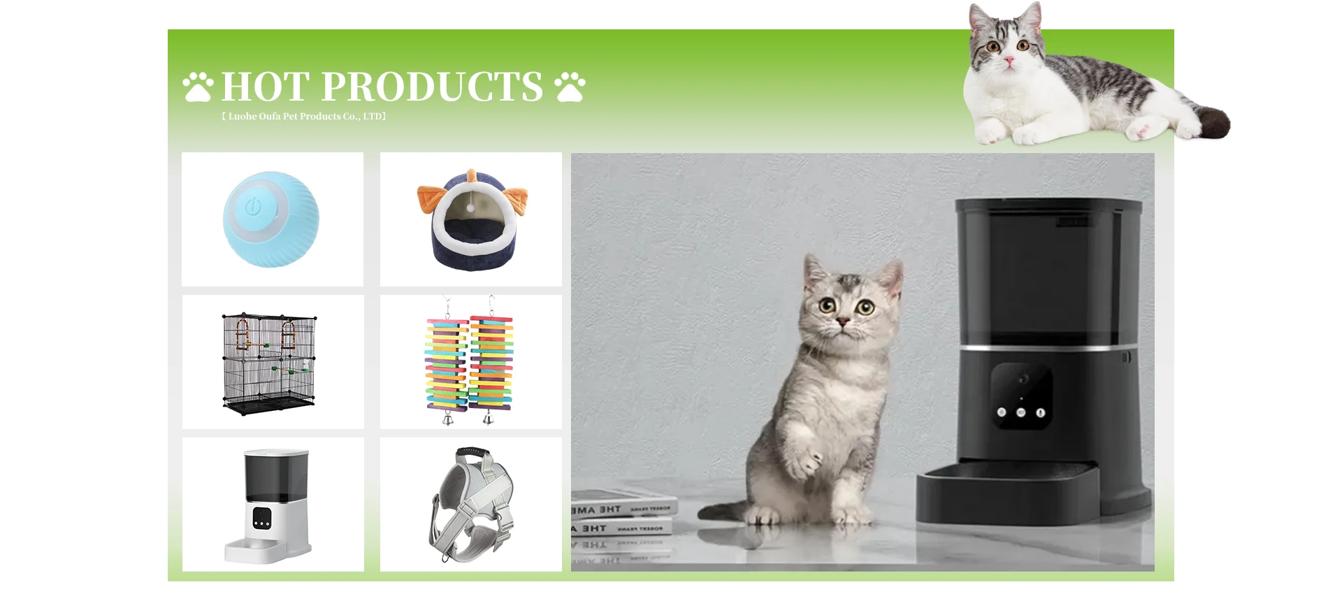 Company Overview - Luohe Oufa Pet Products Co., Ltd.