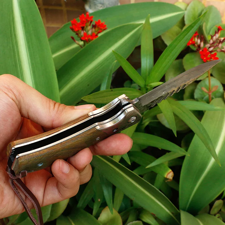 Damascus Steel Folder Steel Smooth Flip Edc Outdoor Camping Pocket ...