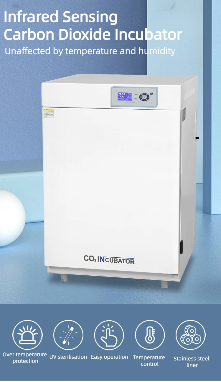 Laboratory Air-Jacketed Carbon Dioxide Incubator for Cell Culture