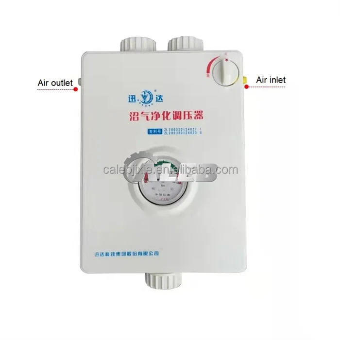 Cheap Biogas Gas Treatment Complete Equipment & Desulfurizer System