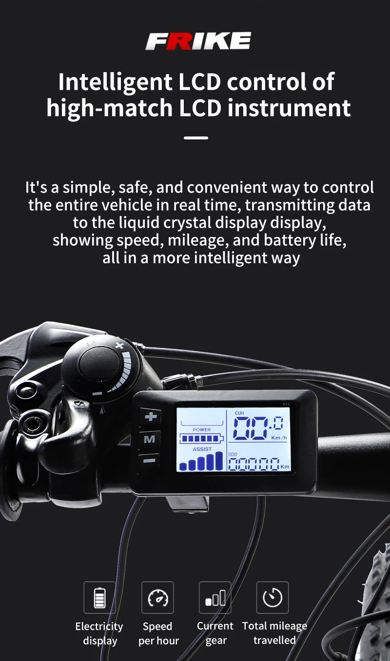 FRIKE Ebike 1000W 48V - Ultimate Electric Bike Experience