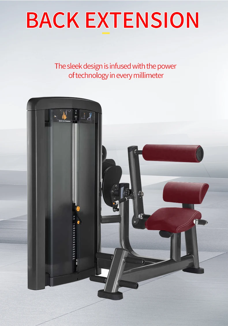 Ultimate Commercial Back Extension Machine: High-end Customized Fitness ...