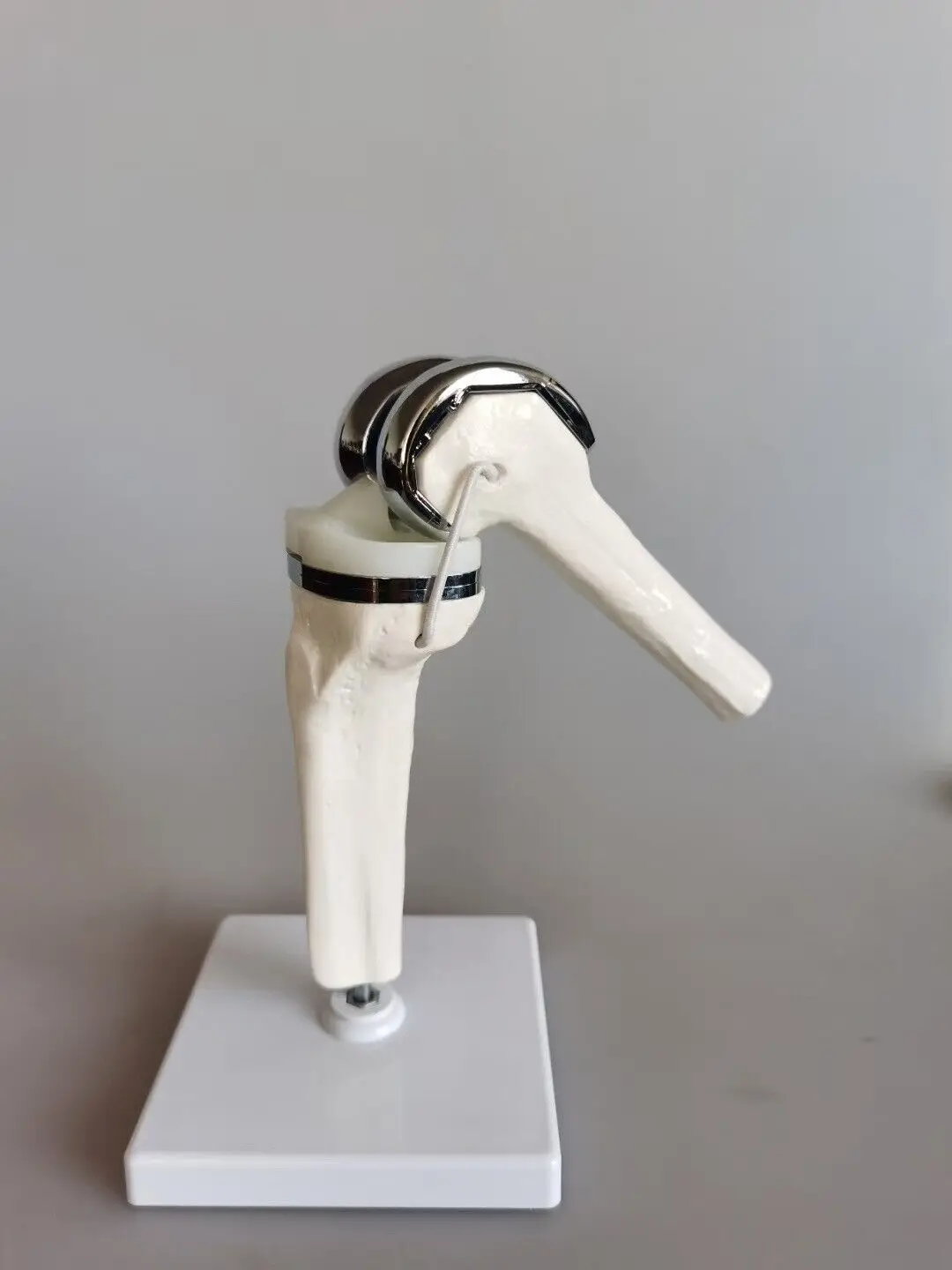 Kyrenmed Transparent Knee Replacement Model - Advanced ABS