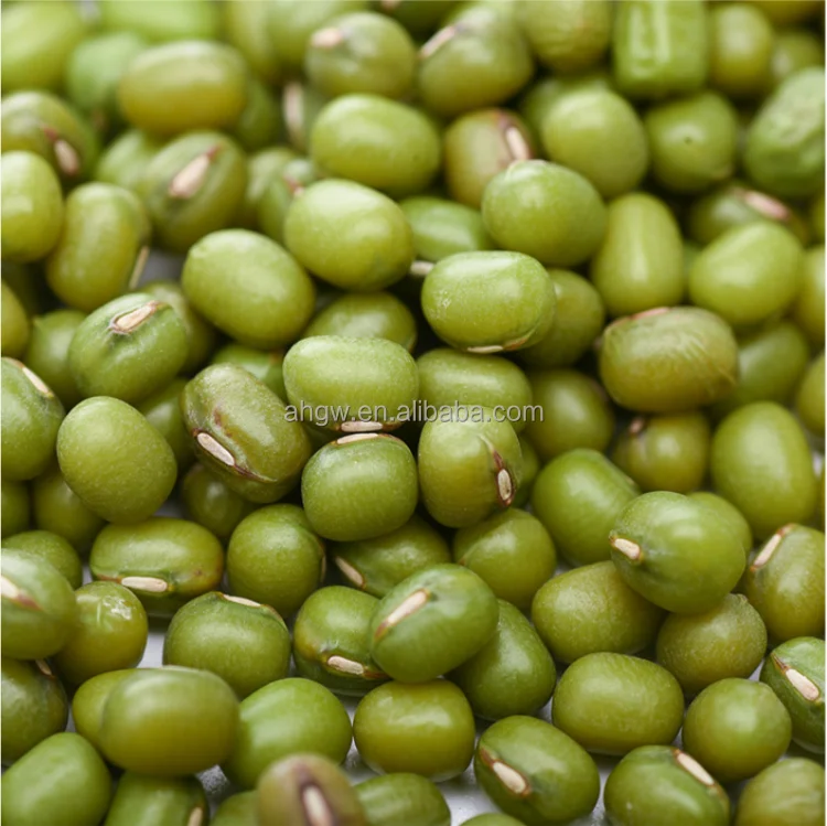 Inner Mongolia Origin Mung Bean Sprouting Grade Green Bean for Vietnam ...