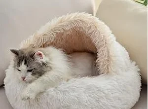 Anti-slip Waterproof Bottom Cat Bed Round Fluffy Hooded Cat Bed Cave ...