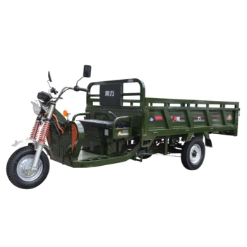 Chang Li Electric Cargo Tricycle Best Selling 2200w Motor Cargo ...