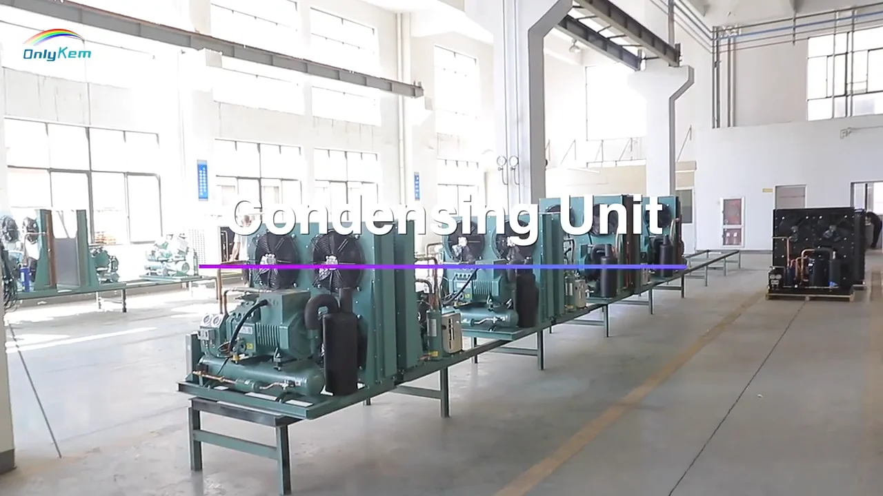 Refrigeration System Cold Room Compressor For Cold Room - Buy ...