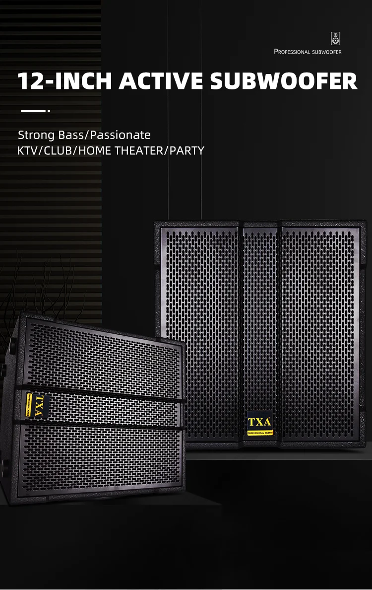 Active Subwoofer 12 Inch - Power and Precision for Audio