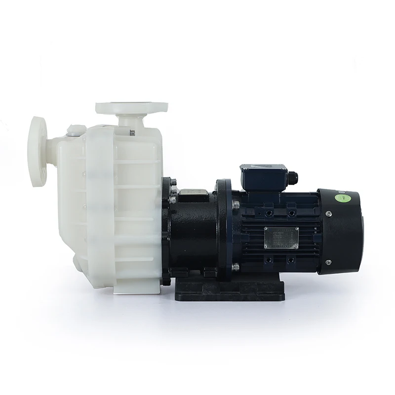 Rundry Magnetic Drive Pump - High Pressure & Self Priming