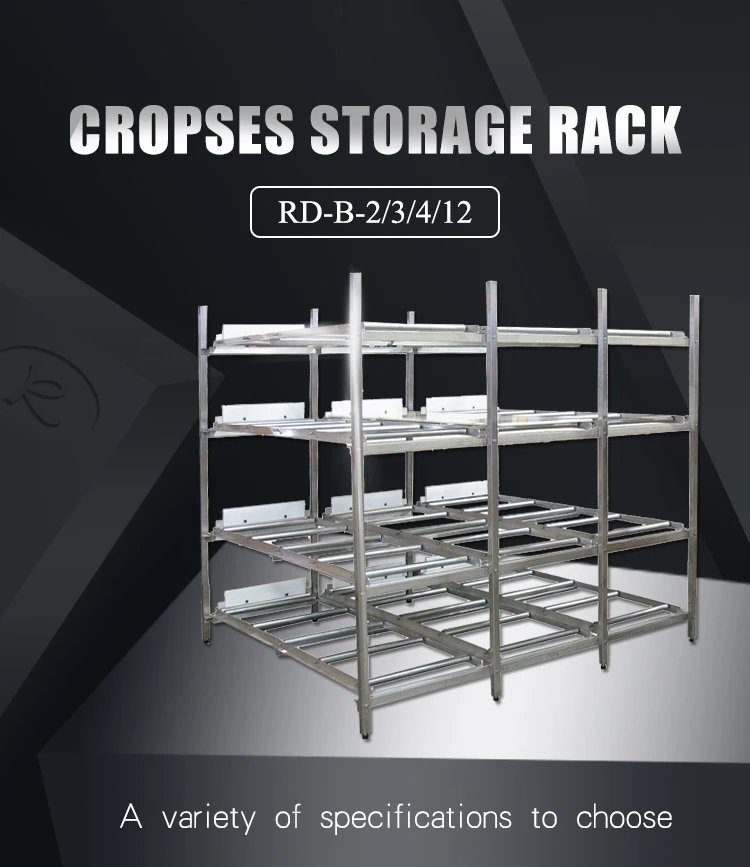 Dead Body Corpse Shelf Combination Mortuary Cadaver Storage Rack - Buy ...