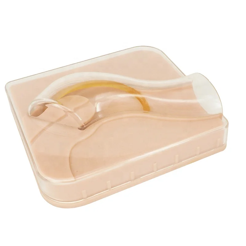 Female Contraception Vaginal Ring IUD Guidance Simulation Training ...