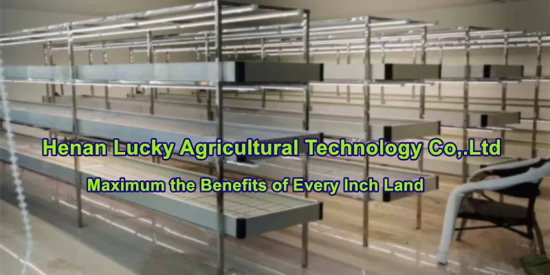 Custom Multi Tier Indoor Cultivation Plant Led Grow System Movable ...