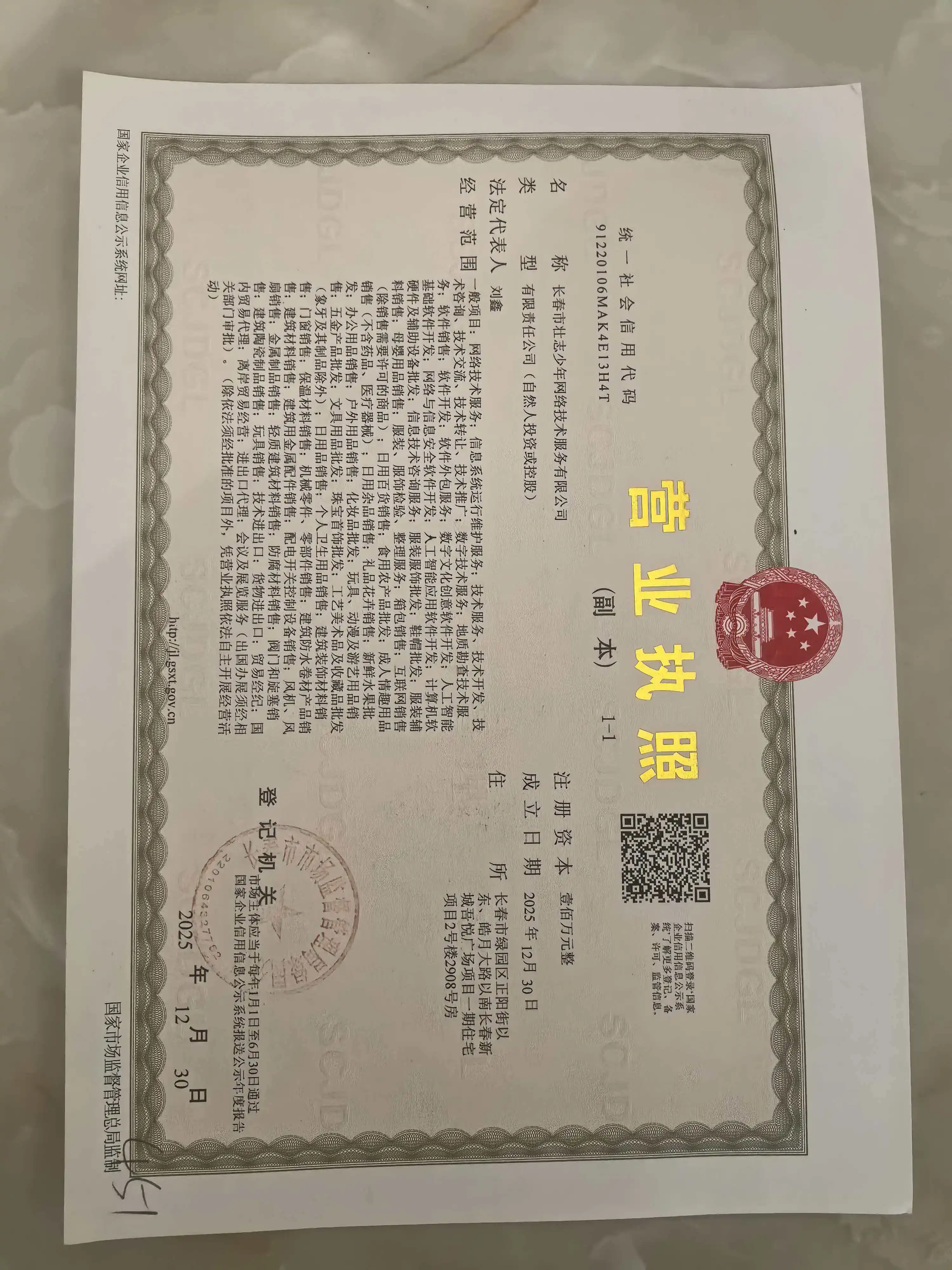 Company Overview - Changchun Zhuangzhi Shao Nian Network Technology ...