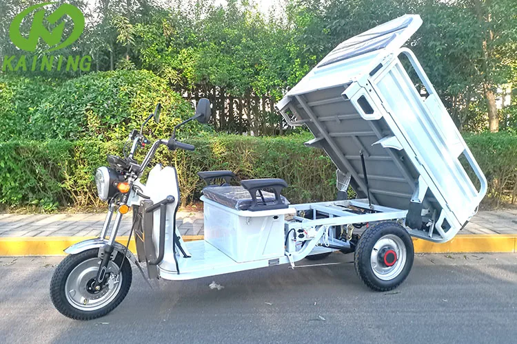 Heavy Duty Electric Cargo Vehicle 1500W High Speed Three Wheel Cargo Bike Truck Cargo Tricycle ...
