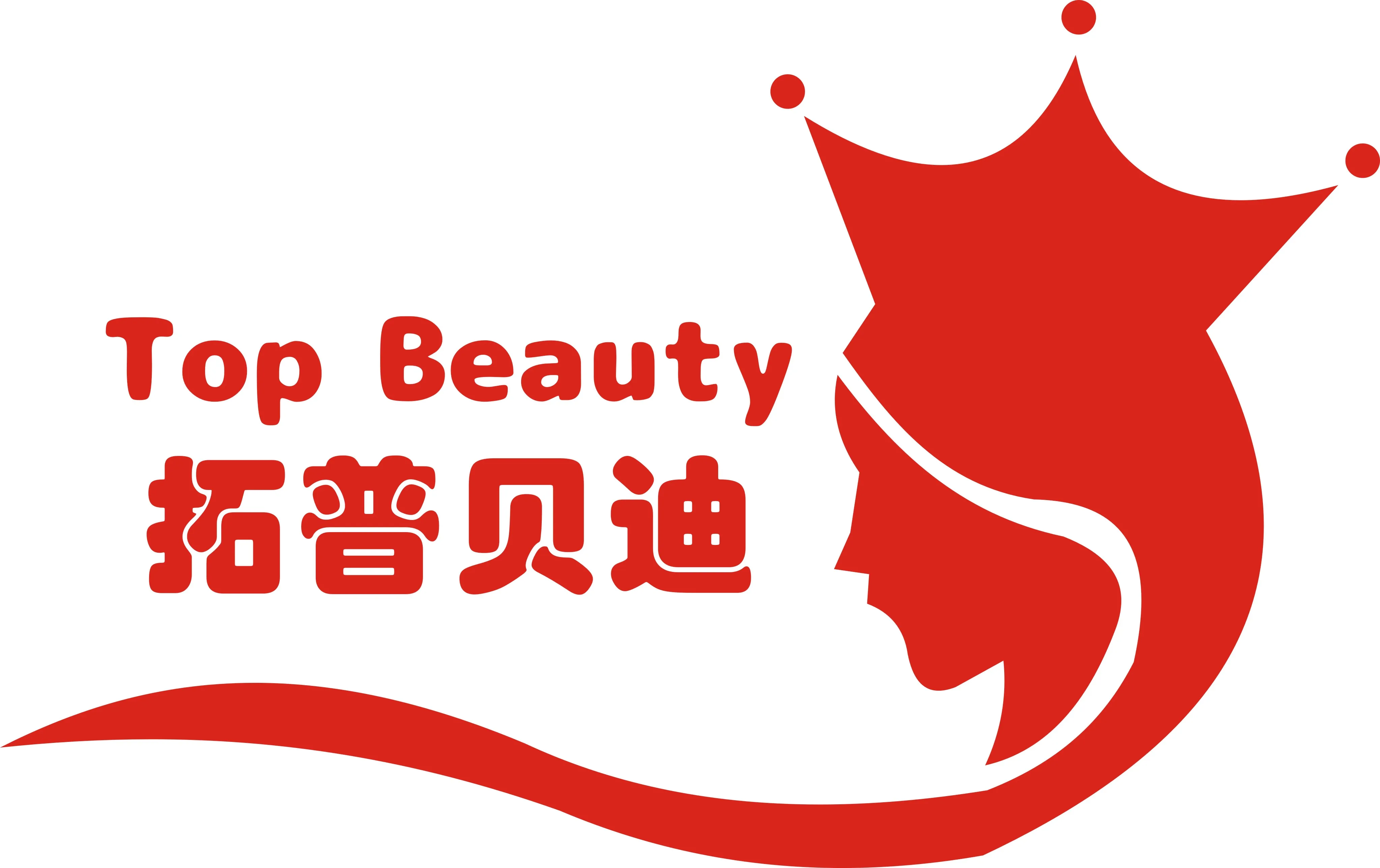 Company Overview - Foshan Top Beauty Electronic Technology Co., Ltd.
