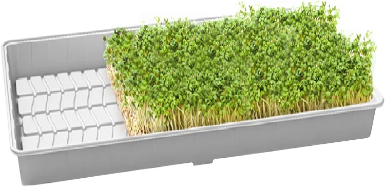 Customizable Hydroponic System Greenhouse Ebb and Flow Trays Hydroponic ...