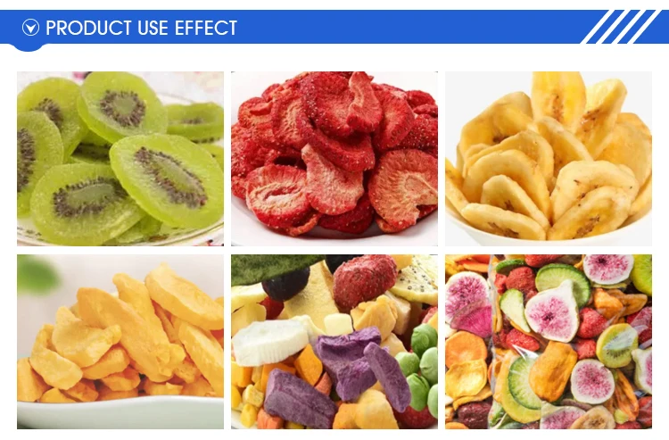 Commercial Lyophilization Homemade Food Freeze Dryer Commercial Vacuum ...